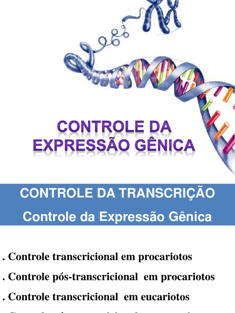 Aula 5 - Controle Da Expressao Genica | PDF | Promotor (genética ...
