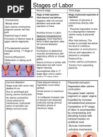 Stages of Labor Overview and Mechanisms | PDF | Uterus | Childbirth