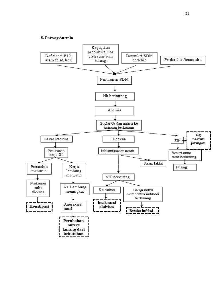 Pathway Anemia | PDF