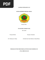 LP Tetraparese | PDF