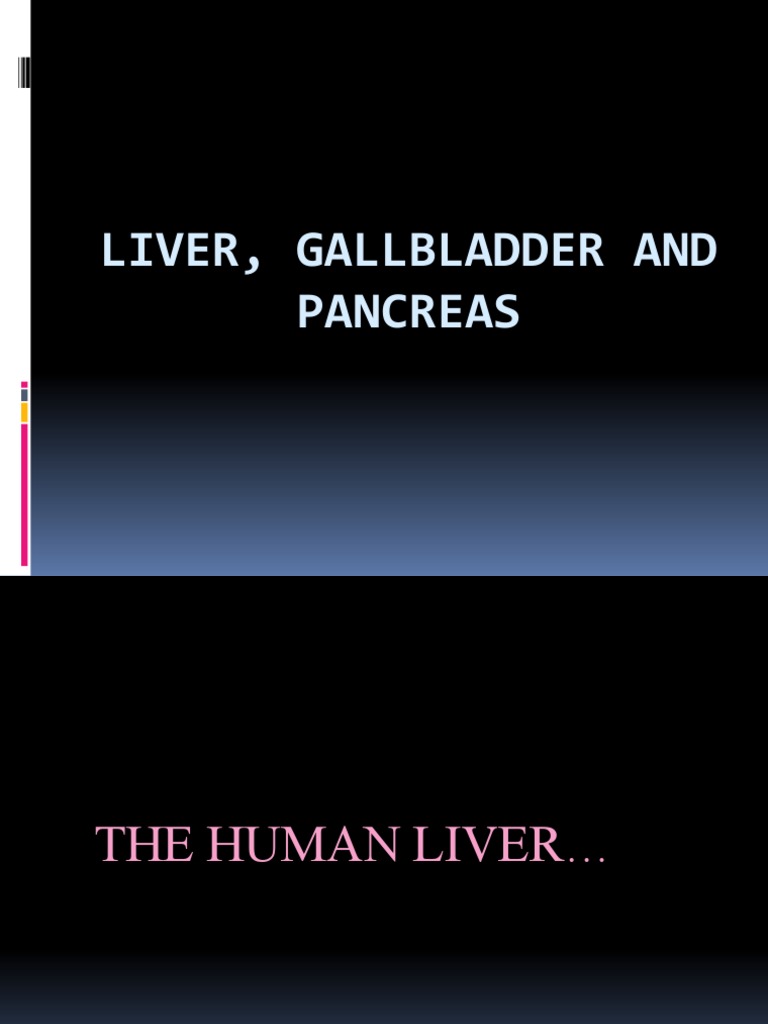 Anatomy and Functions of the Liver | PDF | Liver | Gastroenterology