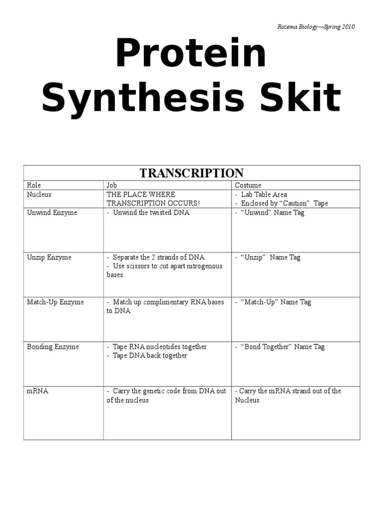 BIO - Unit 7 - Protein Synthesis Skit | PDF | Messenger Rna | Ribosome