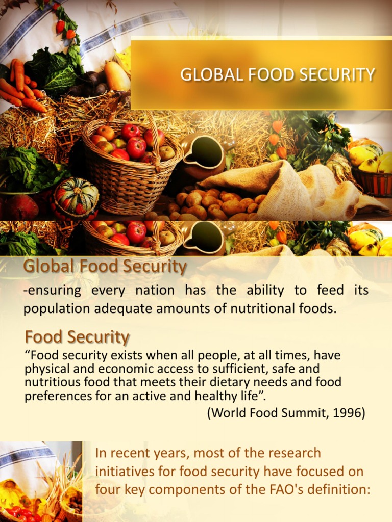 Understanding Global Food Security Issues | PDF | Food Security | Hunger