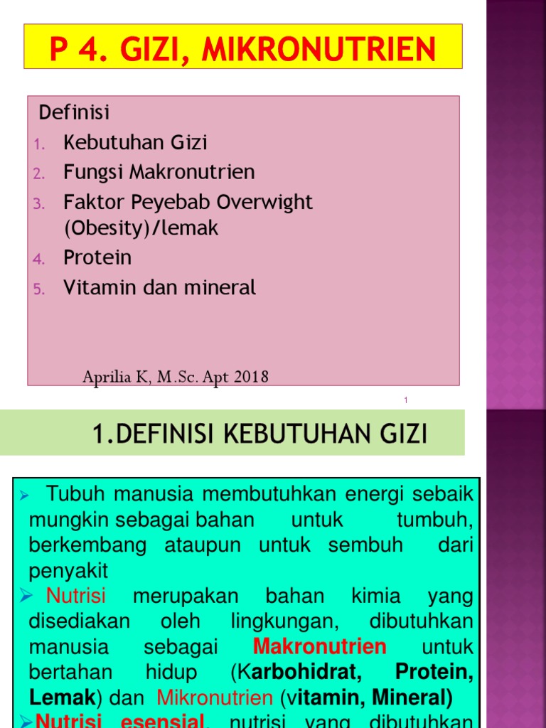 P4. Gizi Dan Mikronutrien | PDF