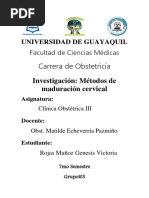 Protocolo de Cerclaje Cervical en Obstetricia | PDF | Parto | El embarazo