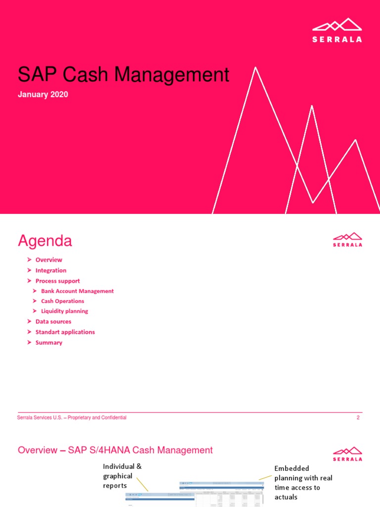 SAP S/4HANA Cash Management Overview | PDF | Sap Se | Market Liquidity