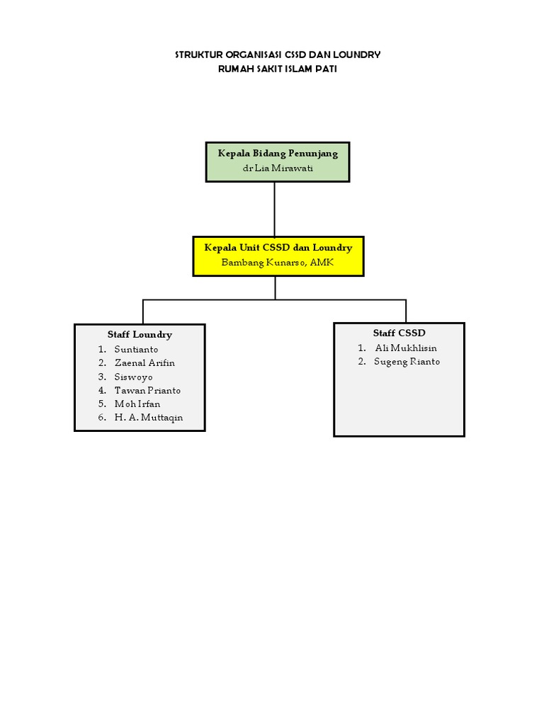 Struktur Organisasi CSSD Dan Loundry Fix | PDF