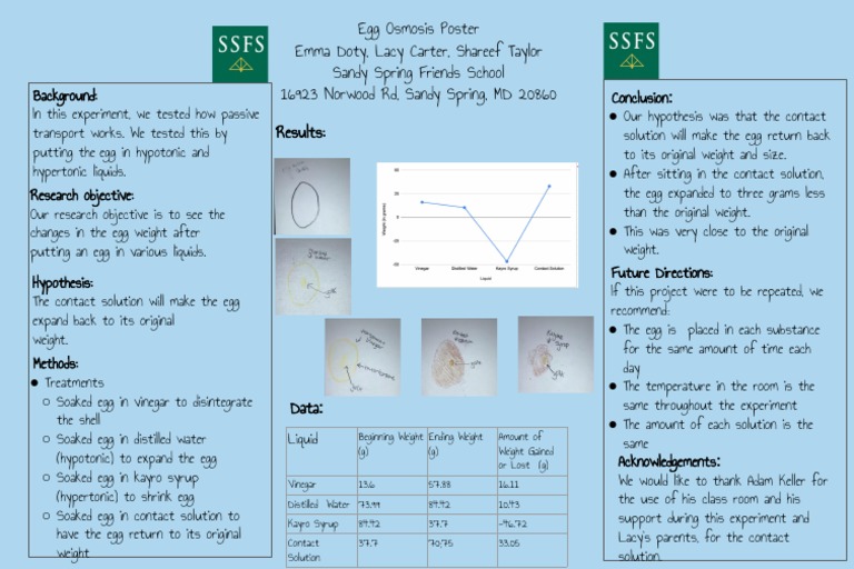 Egg Osmosis Poster | PDF | Osmosis | Chemistry