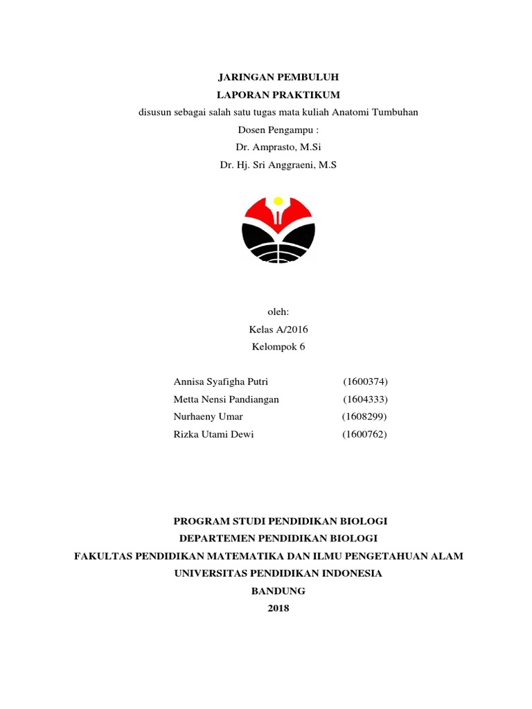 Jaringan Pembuluh | PDF