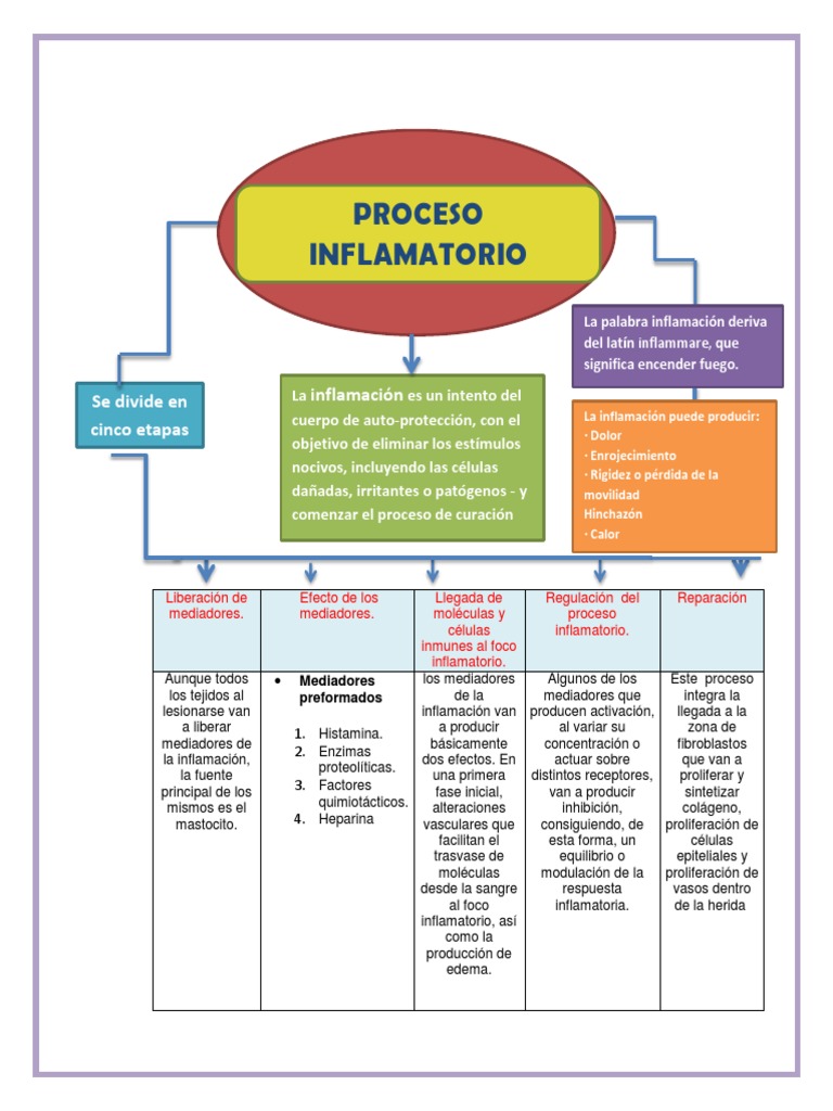 Mapa Conceptual Proceso Inflamatorio | PDF | Inflamación ...