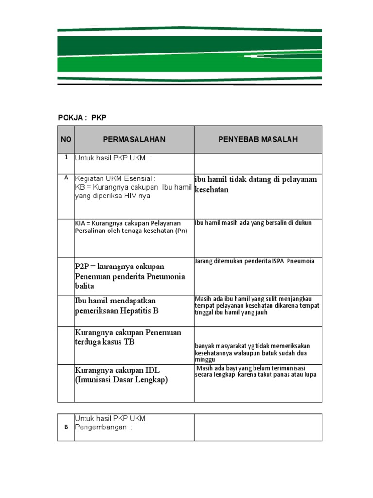 FORM INPUT RTM Dari PKP | PDF