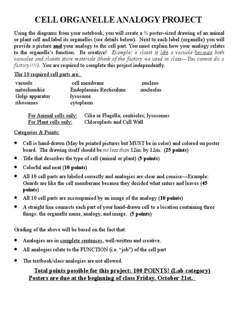 CH 7 Cell Organelle Analogy Project Rubric 2013-1 | PDF | Organelle ...