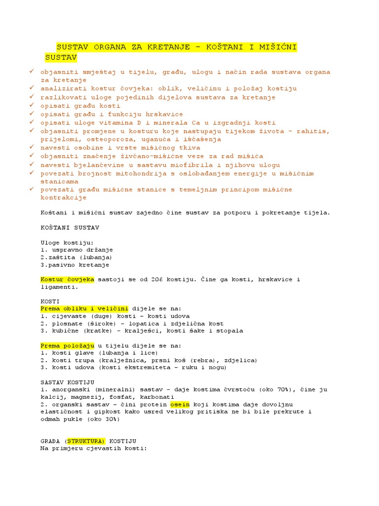 Sustav Organa Za Kretanje | PDF