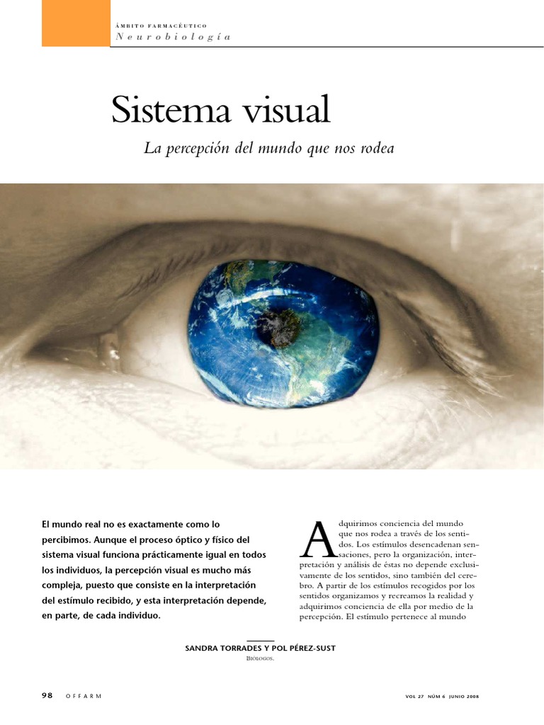 Persepcion Visual | PDF | Percepción visual | Ojo humano