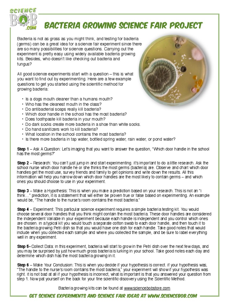Bacteria Science Fair Experiment Ideas | PDF | Experiment | Hypothesis