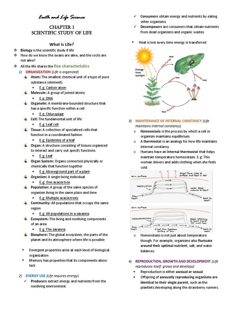 Earth and Life Science: Scientific Study of Life | PDF | Experiment ...