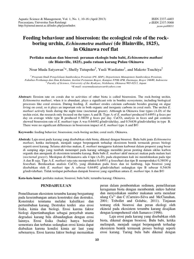 Bulu Babi Echinometra Mathaei Pulau Okinawa | PDF | Terumbu Karang ...