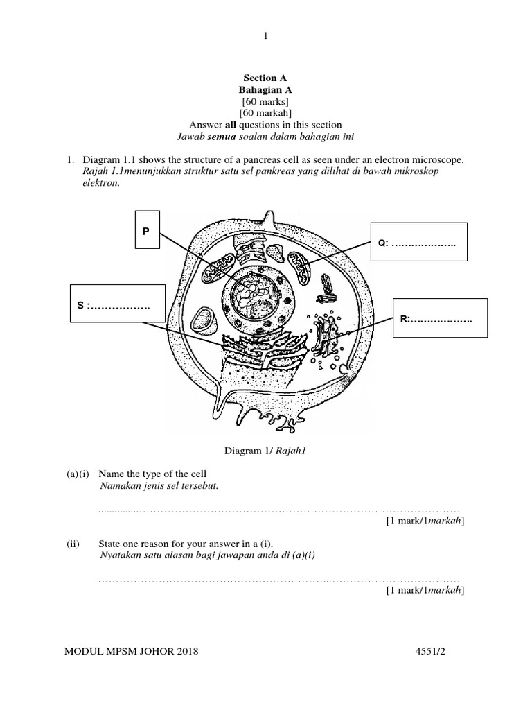 Modul MPSM Biologi Set B Kertas 2 Soalan PDF | PDF