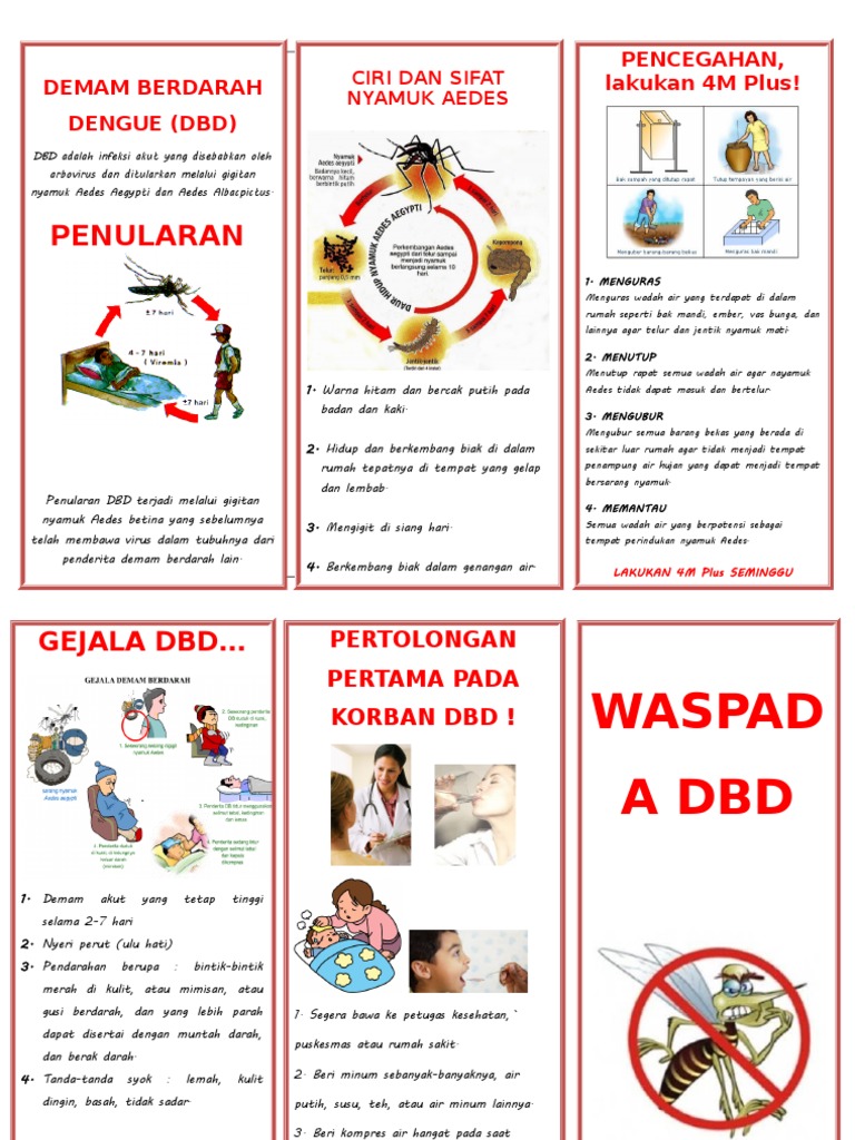 Leaflet DBD | PDF