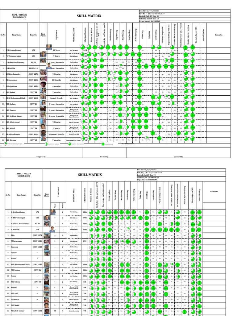 Skill Matrix Updated 2020 | PDF | Steel | Chemical Elements