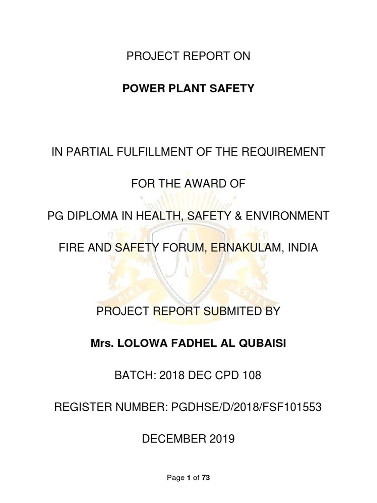 Power Plant Safety Overview Report | PDF | Occupational Safety And ...