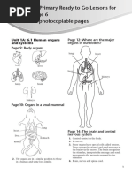 Year 6 Science Revision Booklet | PDF | Artery | Blood