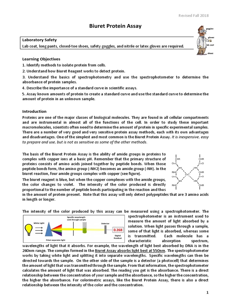 Biuret Protein Assay Protocol | PDF | Spectrophotometry | Lipid Bilayer