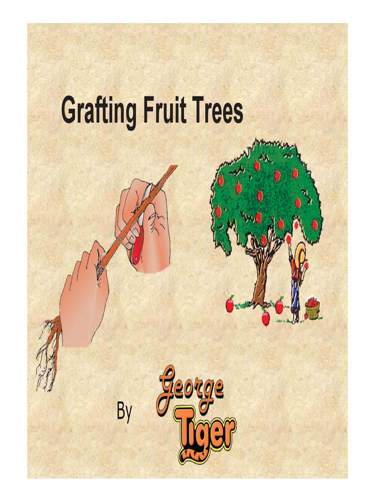 Grafting Fruit Trees - George Tiger | PDF | Grafting | Apple