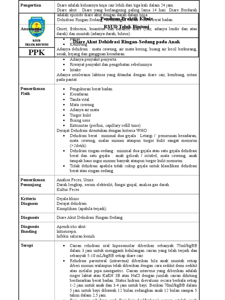 PPK. Diare Akut Dehidrasi Ringan Sedang Pada Anak | PDF