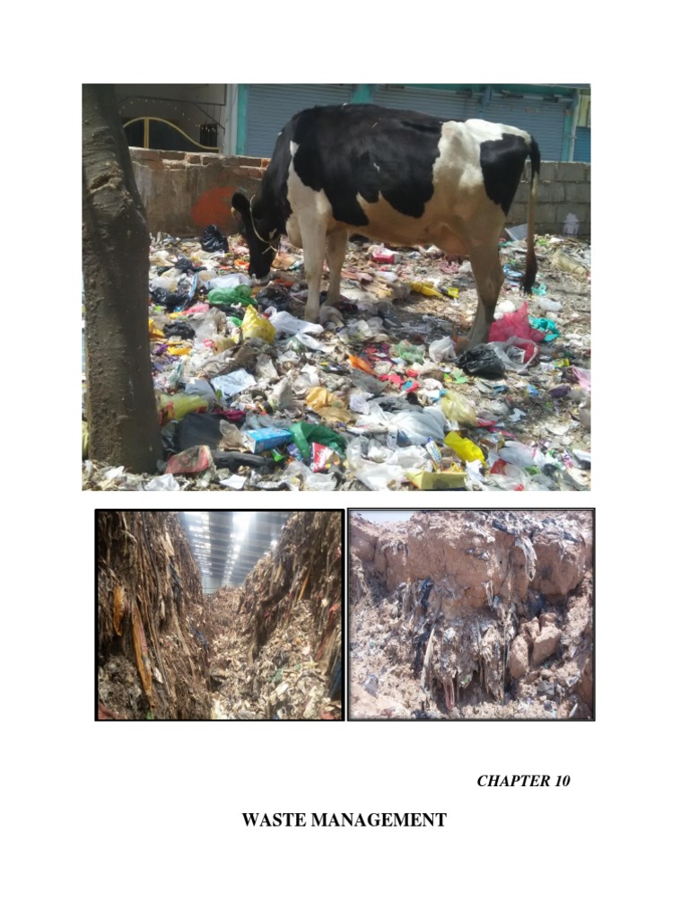 Waste Management-Final | PDF | Waste Management | Waste