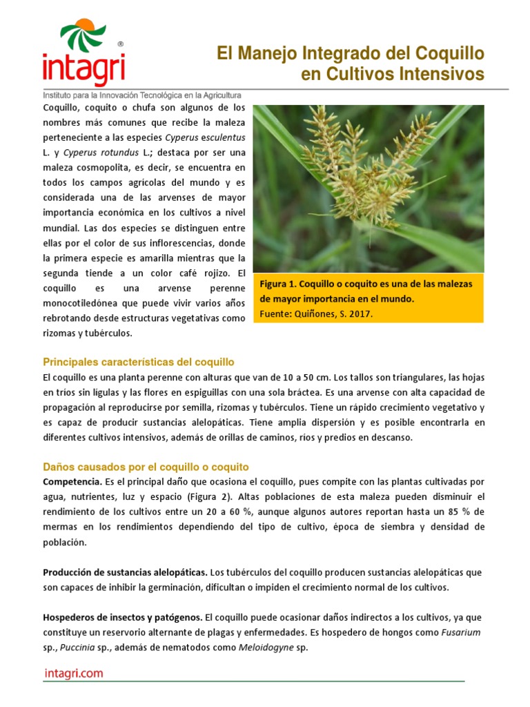 El Manejo Integrado Del Coquillo en Cultivos Intensivos | PDF ...