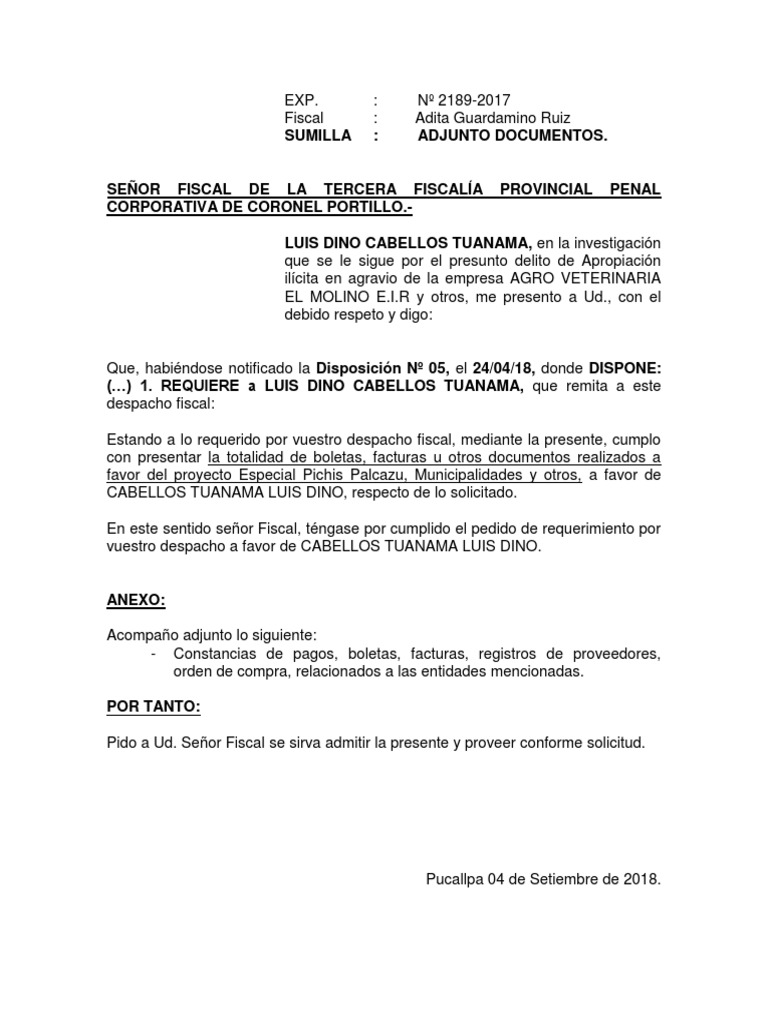 Adjunto Documentos | PDF