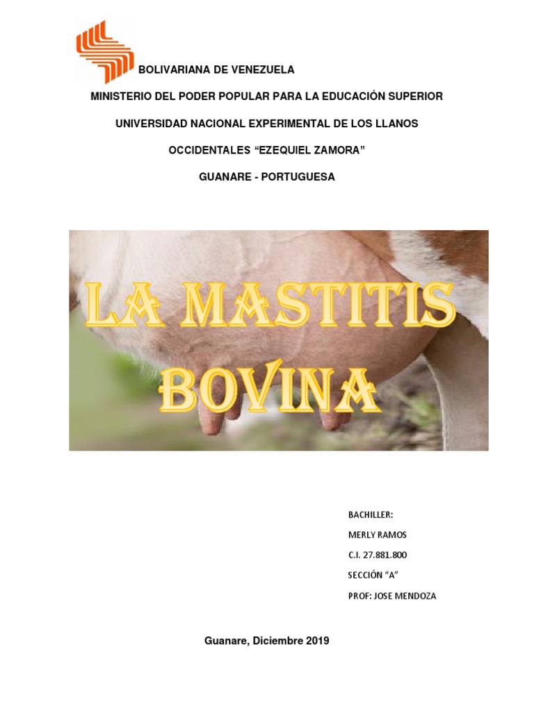 Mastitis Bovina | PDF | Vacas | Penicilina