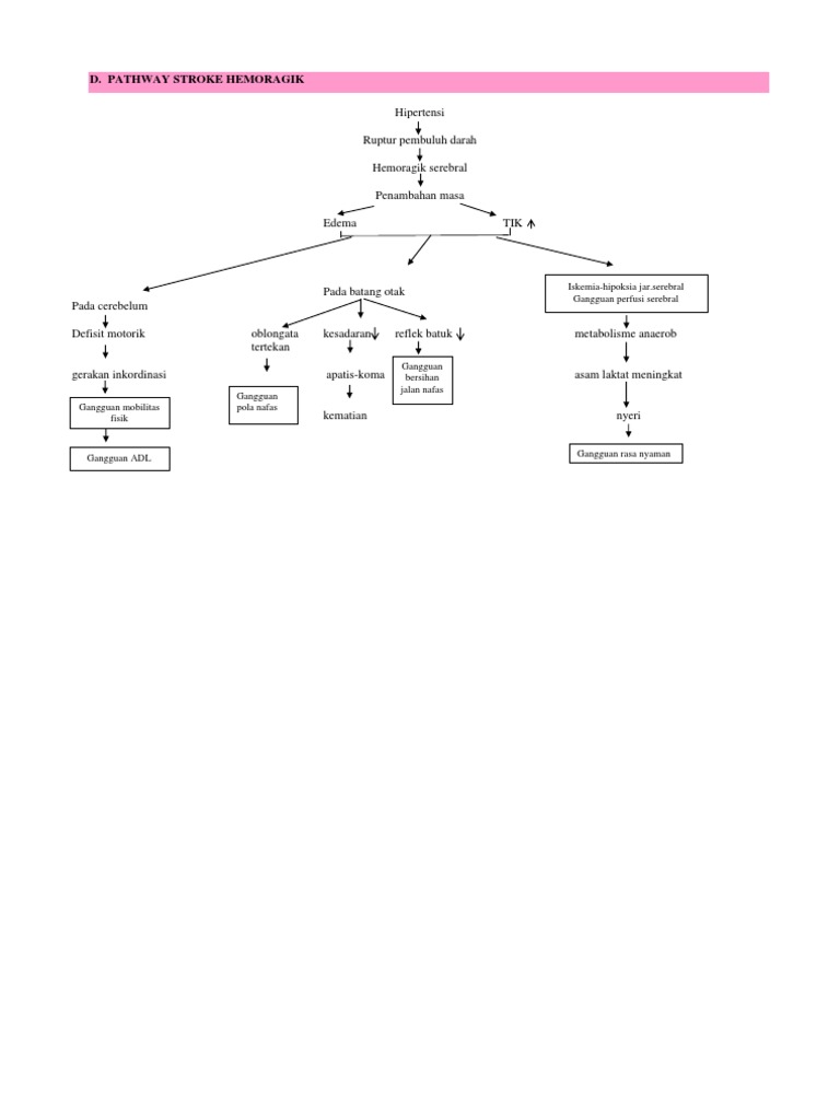 Pathway Stroke Hemoragik dan Iskemik | PDF