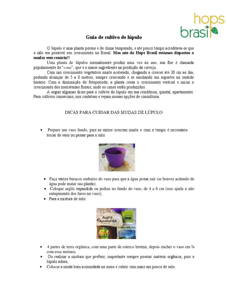 Guia de Cultivo de Lúpulo - Hops Brasil | PDF | Plantas | Pinheiro