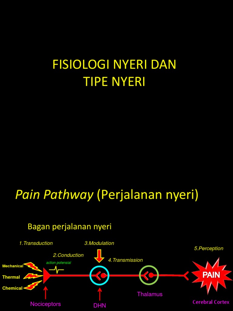 Fisiologi Dan Tipe Nyeri | PDF