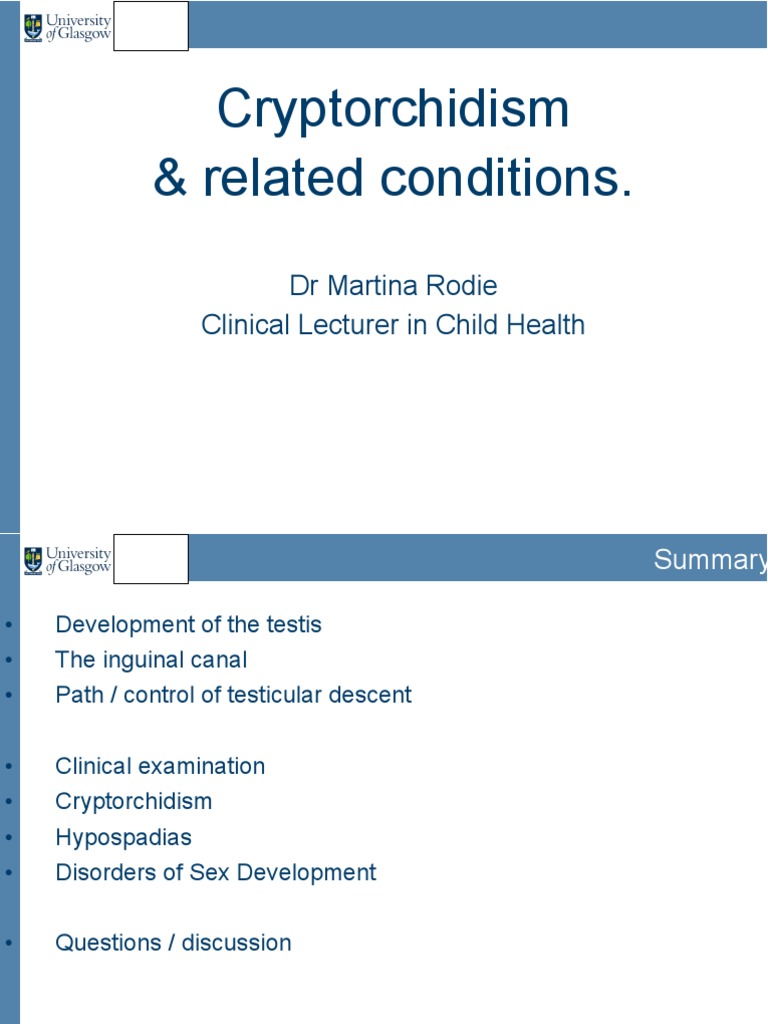 Cryptorchidism PDF | PDF | Testicle | Sexual Anatomy