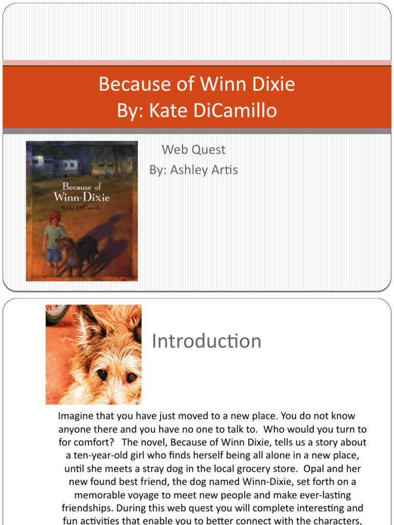 Engaging Activities for Winn-Dixie | PDF | Learning | Numbers