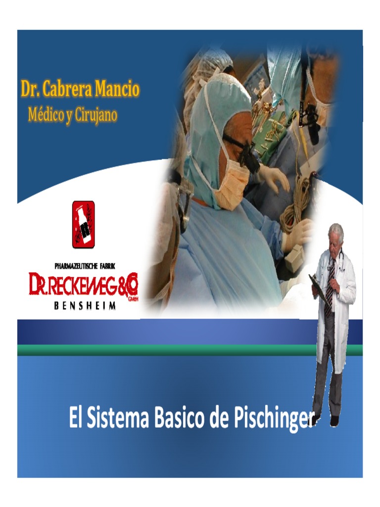 Sistema Basico de Pischinger | PDF | Biología Celular) | Metabolismo
