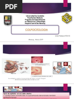 ZONA DE TRANFORMACION EN COLPOSCOPIA - Dra. Isa Ma. de Mello | PDF ...