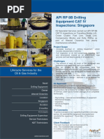 API RP 4G Cat. III & IV Inspection | PDF | Nondestructive Testing ...