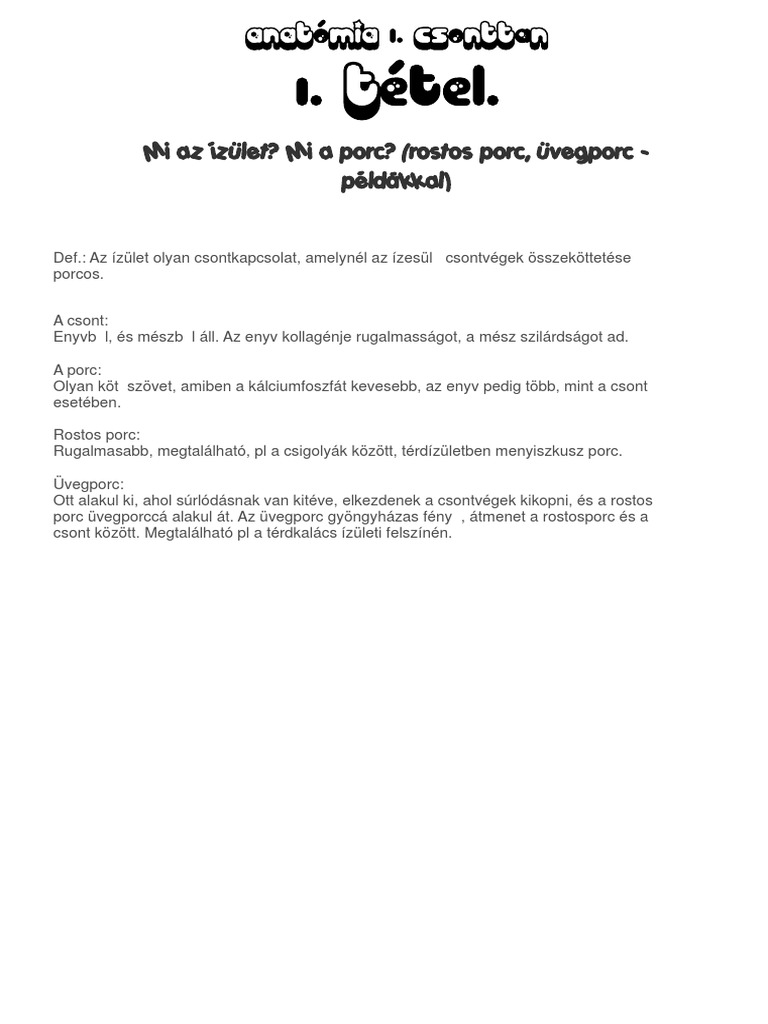 Anatómia-Csont 2 | PDF
