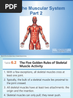 Kinesiology Flashcards, 3E - Lippert, Lynn S., Minor, Mary Alice ...