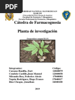 Sacha Culantro | PDF | Hierbas y especias | Alimentos