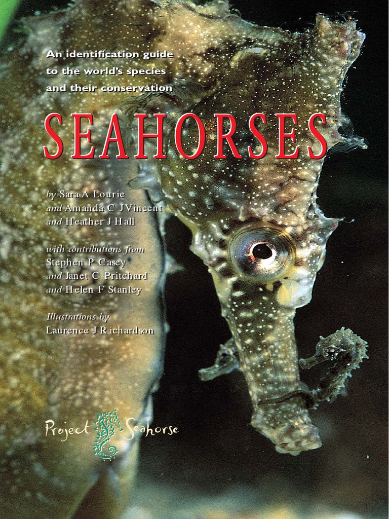 SEAHORSE | PDF | Coral Reef | Organisms