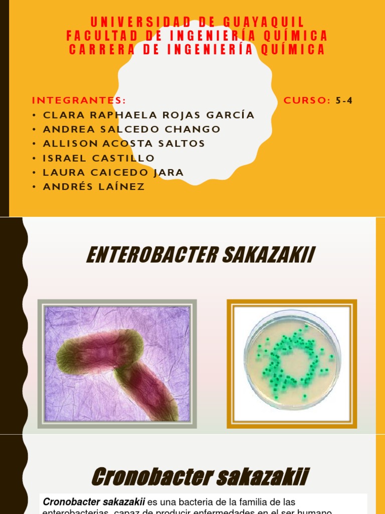 Cronobacter Sakazakii | PDF | Las bacterias | Alimentos