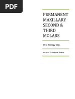 Morphology of Permanent Maxillary 3rd Molar | PDF | Dental Anatomy ...