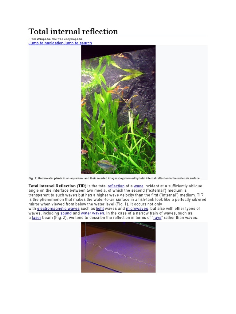 Total Internal Reflection | PDF | Refraction | Reflection (Physics)