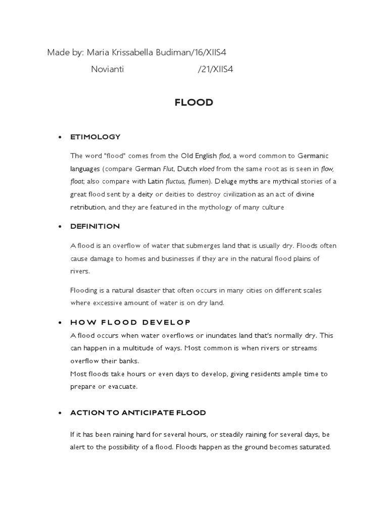 Flood Presentation | PDF | Flood | Wetland