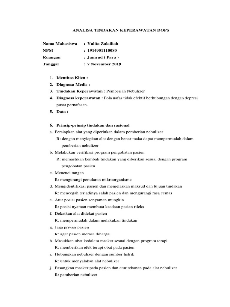 Dops Nebulizer | PDF